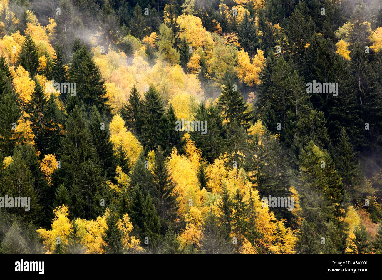 Autumn in the French Alps Stock Photo - Alamy