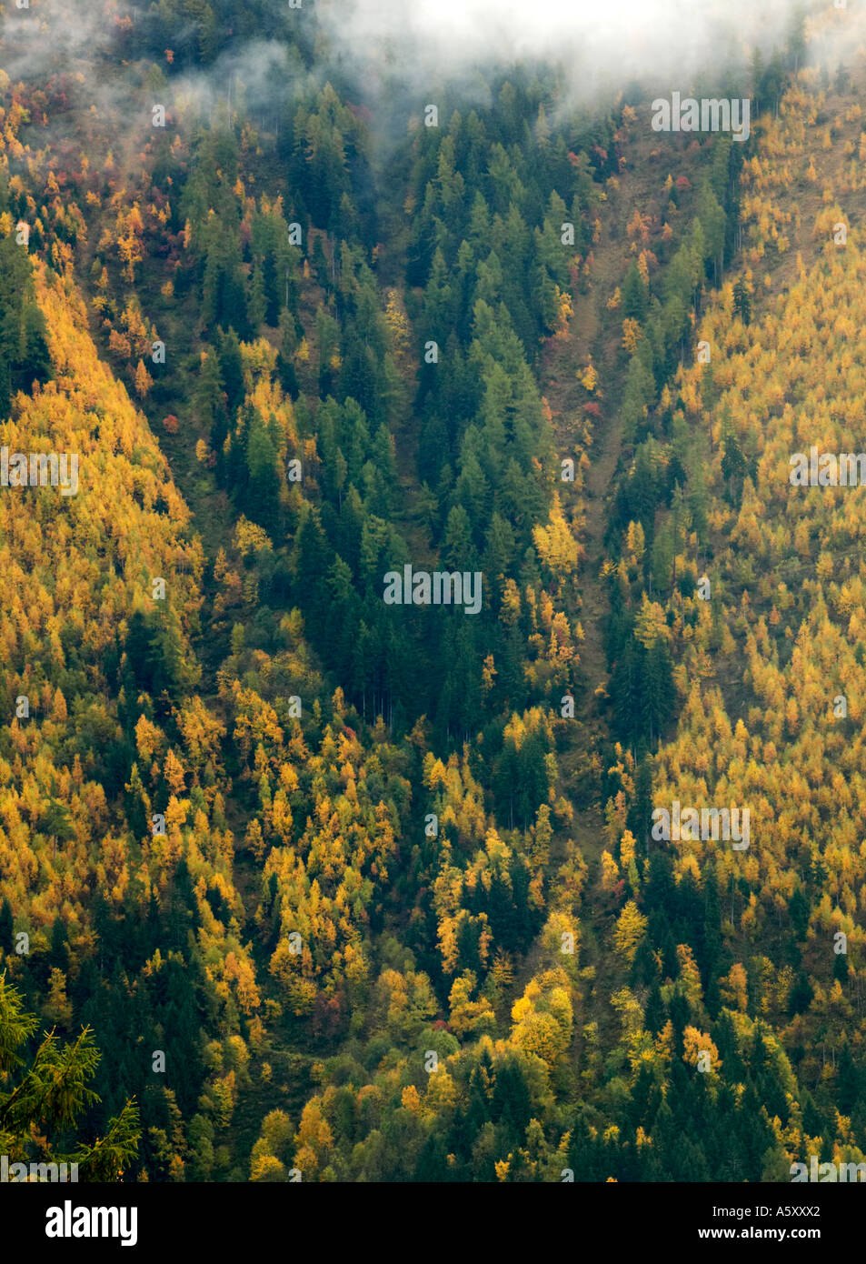 Autumn in the French Alps Stock Photo - Alamy