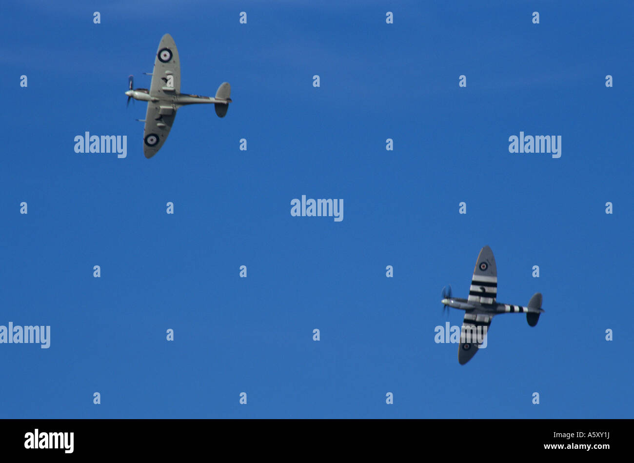 Supermarine spitfires hi-res stock photography and images - Alamy