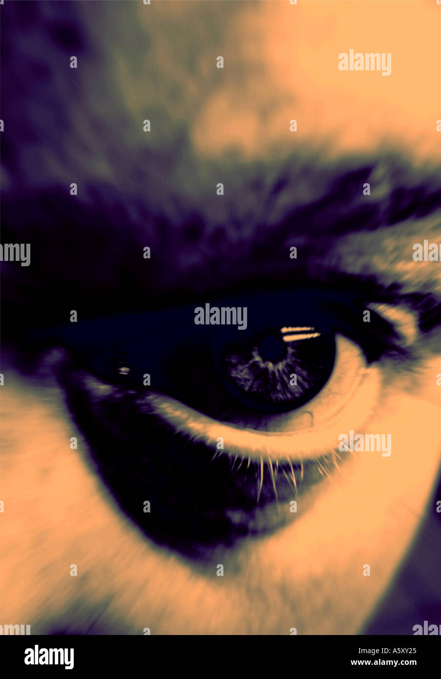 Strong eye expressions hi-res stock photography and images - Alamy