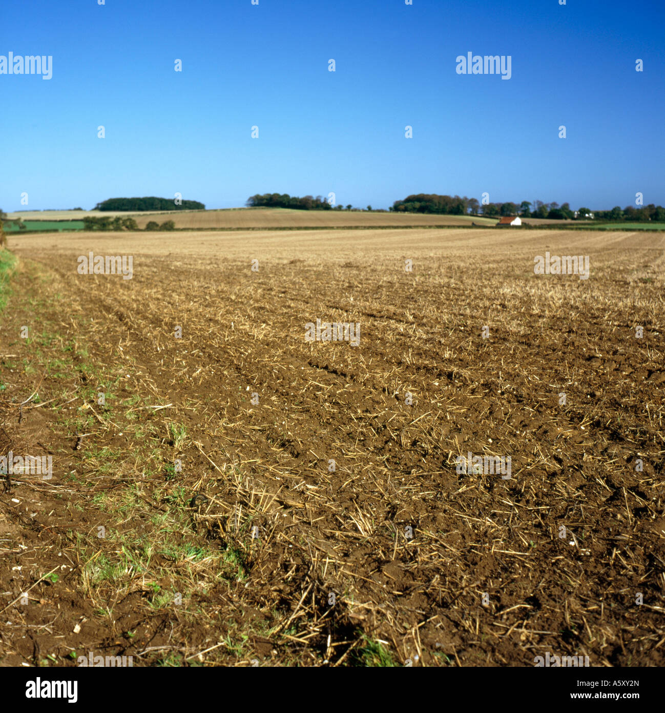 Ploughed flinty field hi-res stock photography and images - Alamy