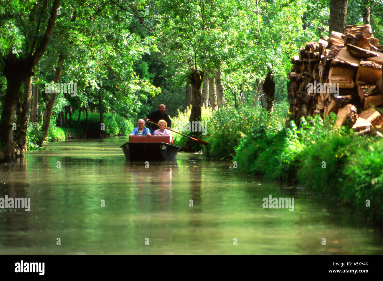 The Marais Poitevin, Western France Stock Photo - Alamy