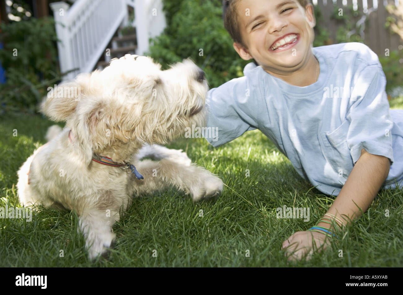 Boy and dog playing together outdoors Stock Photo - Alamy