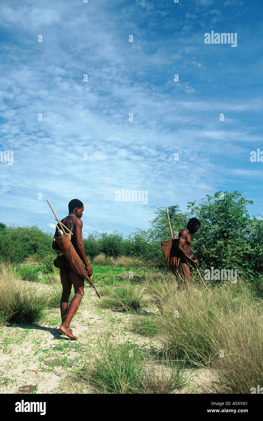 Khoisan hunting hi-res stock photography and images - Alamy