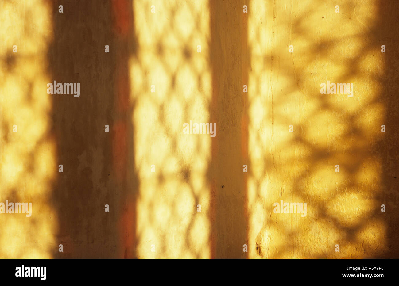 Stained glass window projection hi-res stock photography and images - Alamy