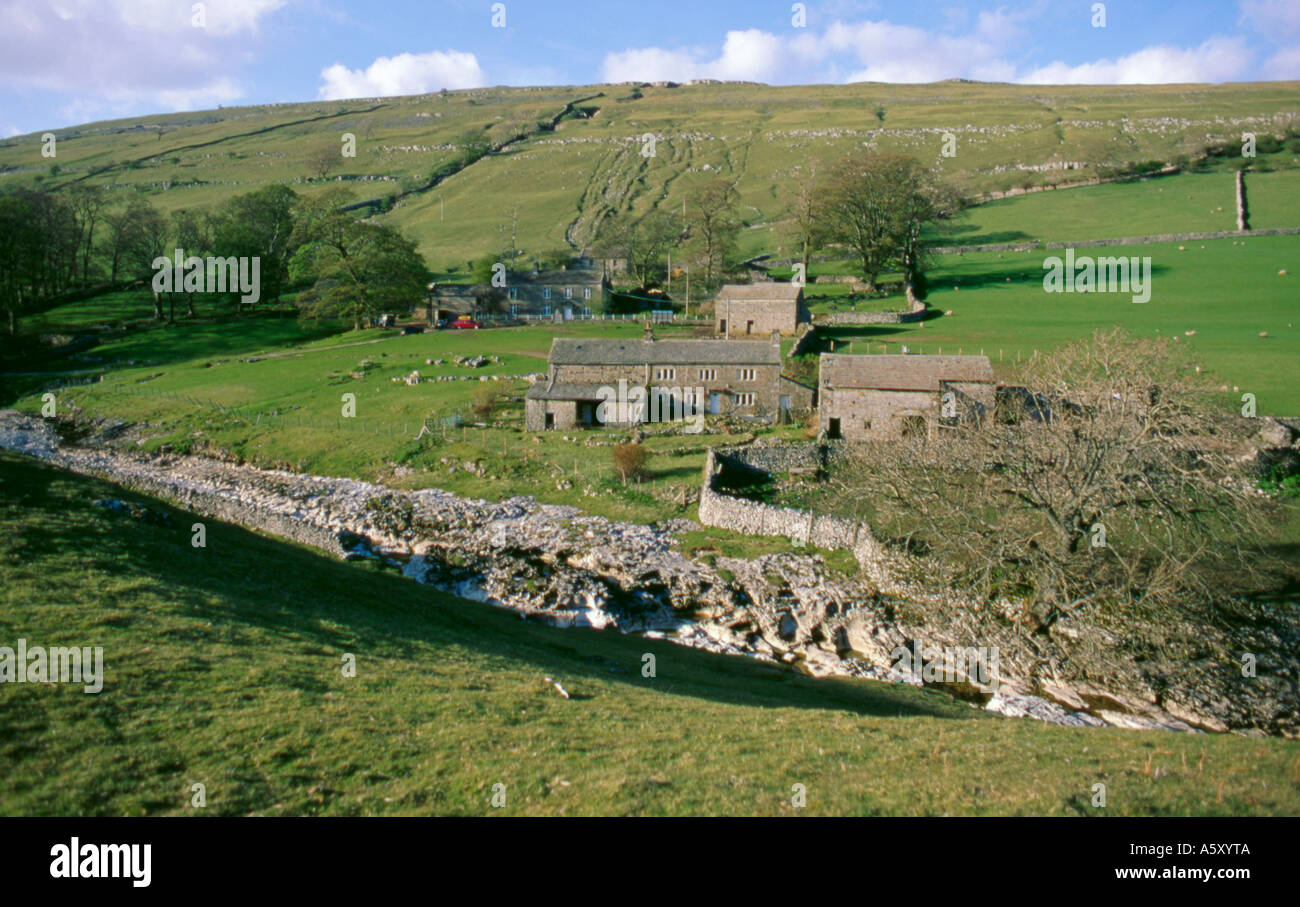Farm buildings, Yockenthwaite, Langstrothdale, upper Wharfedale ...