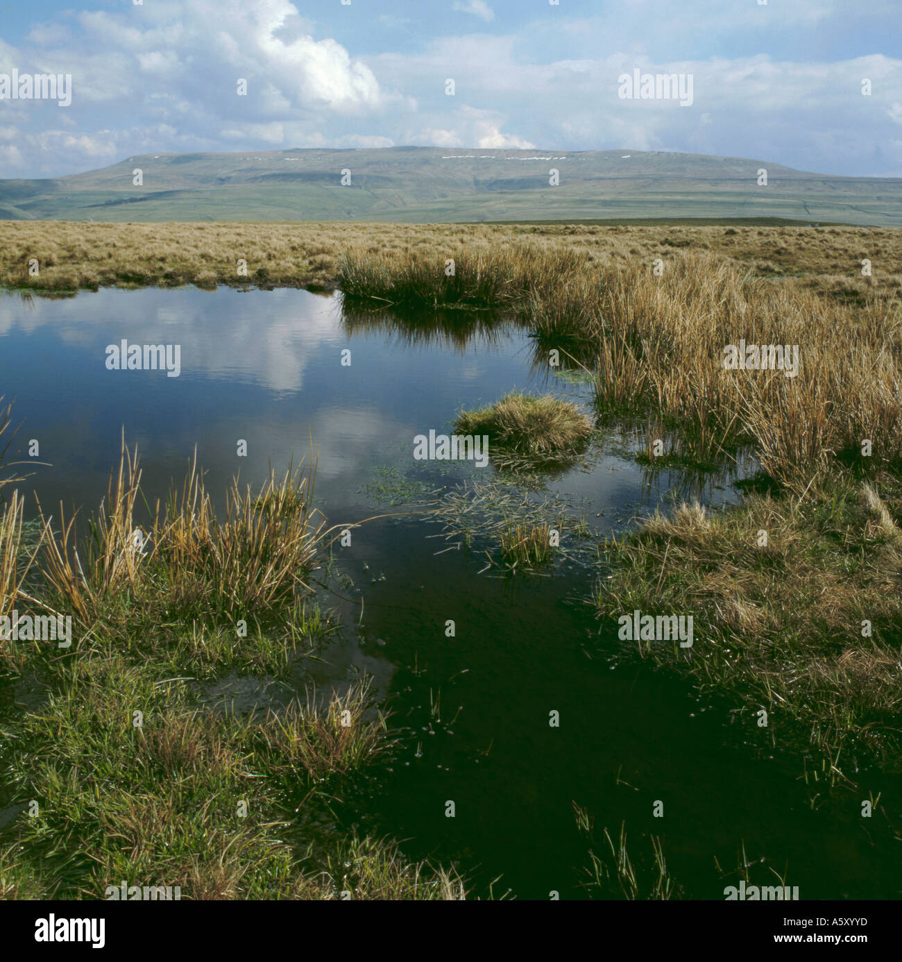 Great Whernside from Old Cote Moor (above Littondale), Yorkshire Dales ...