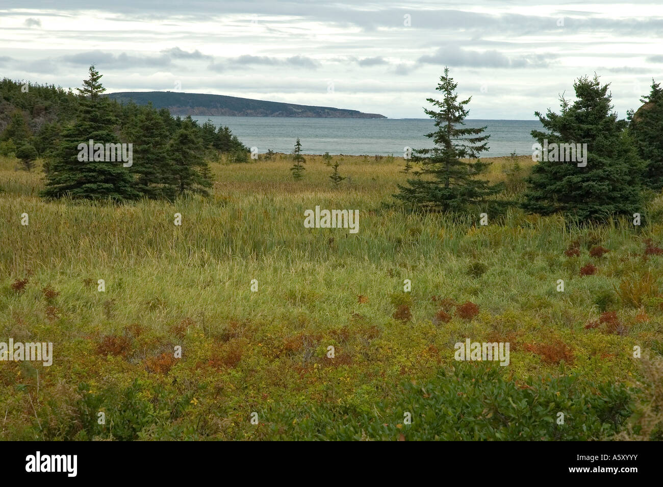 Broad cove nova scotia hi-res stock photography and images - Alamy