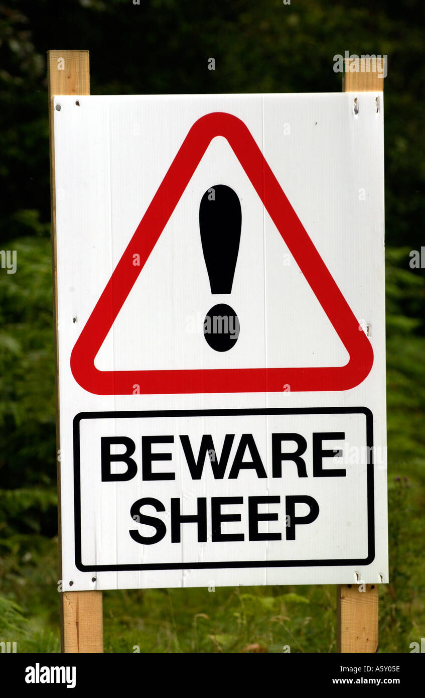 Road Sign Warning Sheep On Stock Photos & Road Sign Warning Sheep On ...