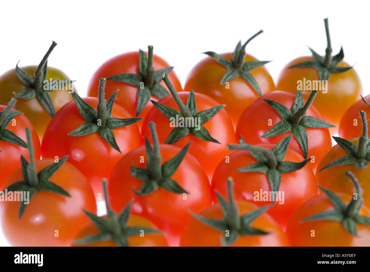 Cocktail tomatoes hi-res stock photography and images - Alamy