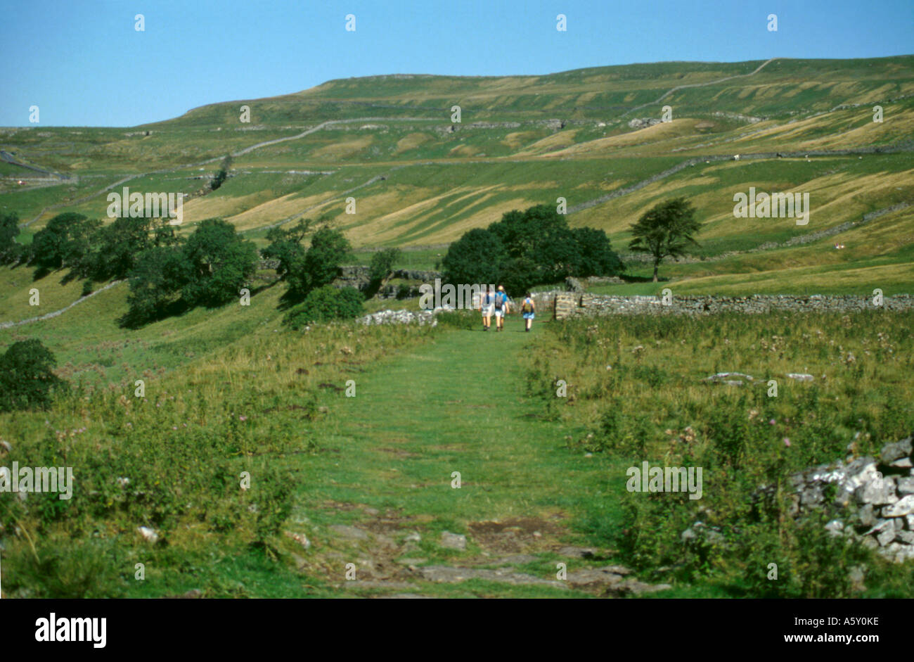 Old Roman road, Buckden Ridge, Wharfedale, Yorkshire Dales National ...