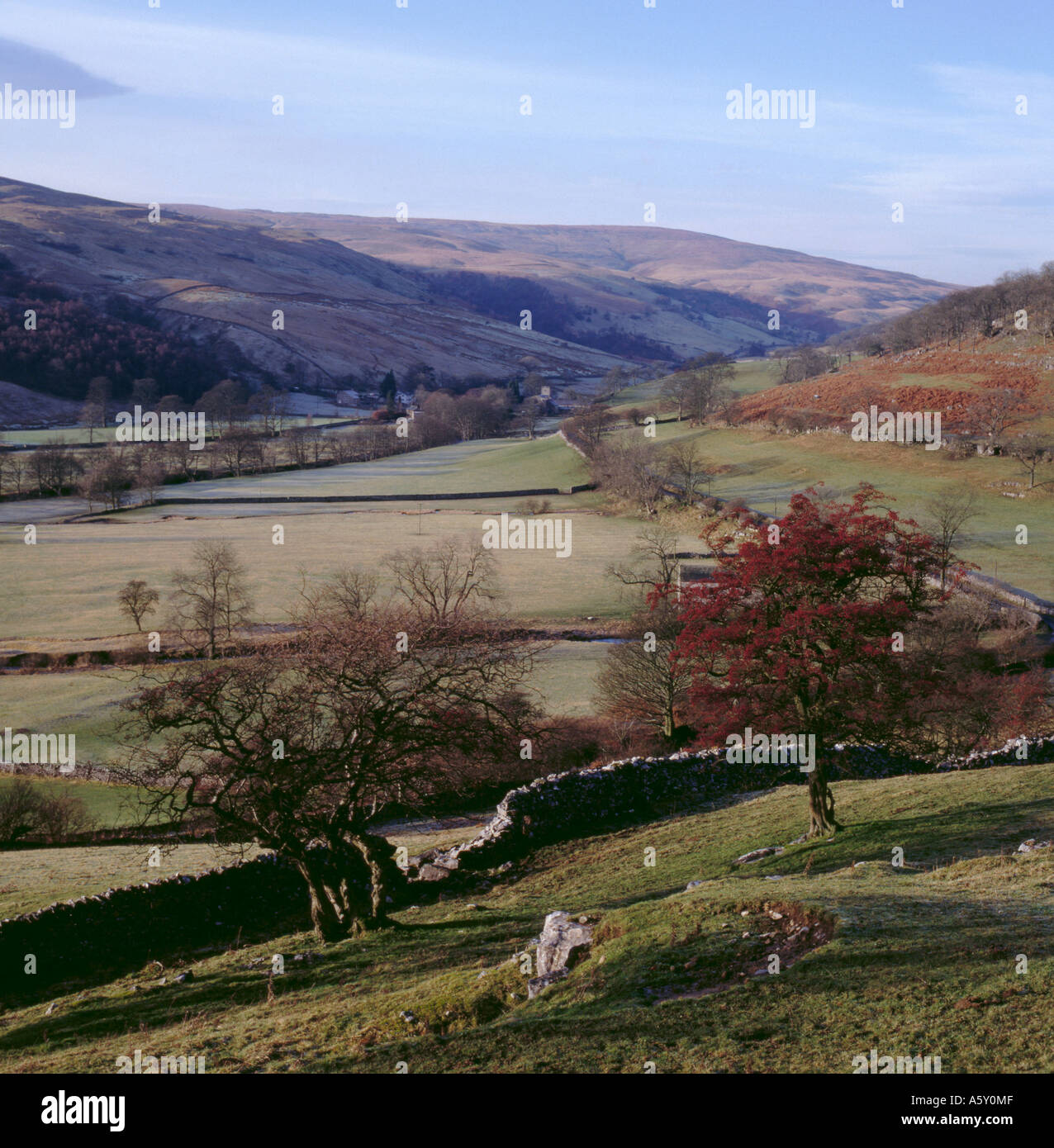 Langstrothdale, upper Wharfedale, Yorkshire Dales National Park, North ...