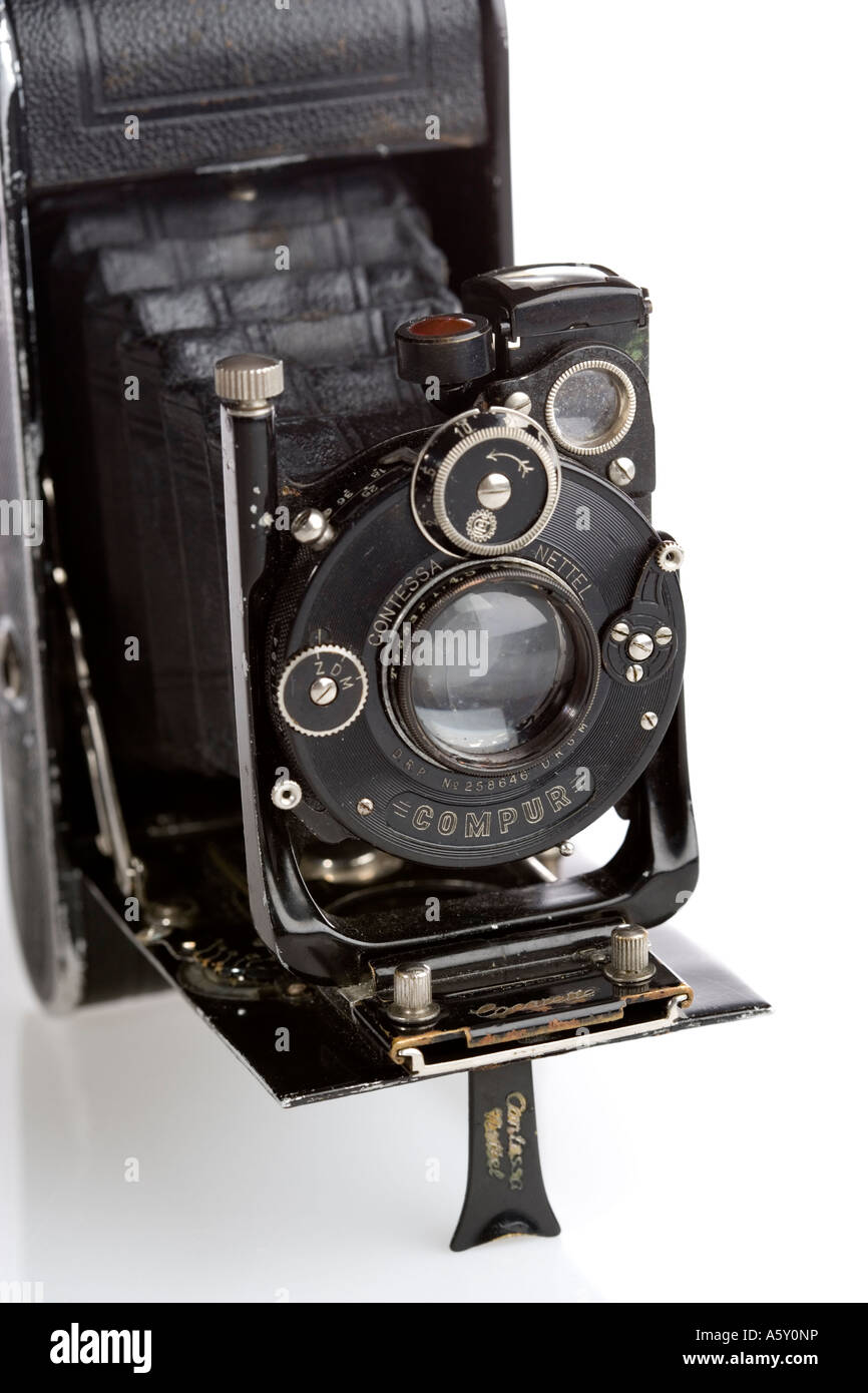 Nettel hi-res stock photography and images - Alamy