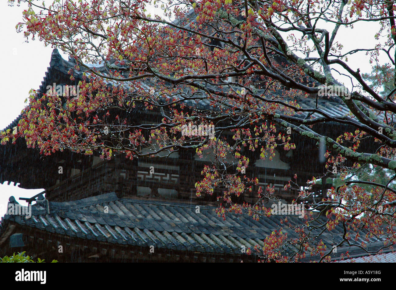 Horyuji buddhist temple hi-res stock photography and images - Alamy