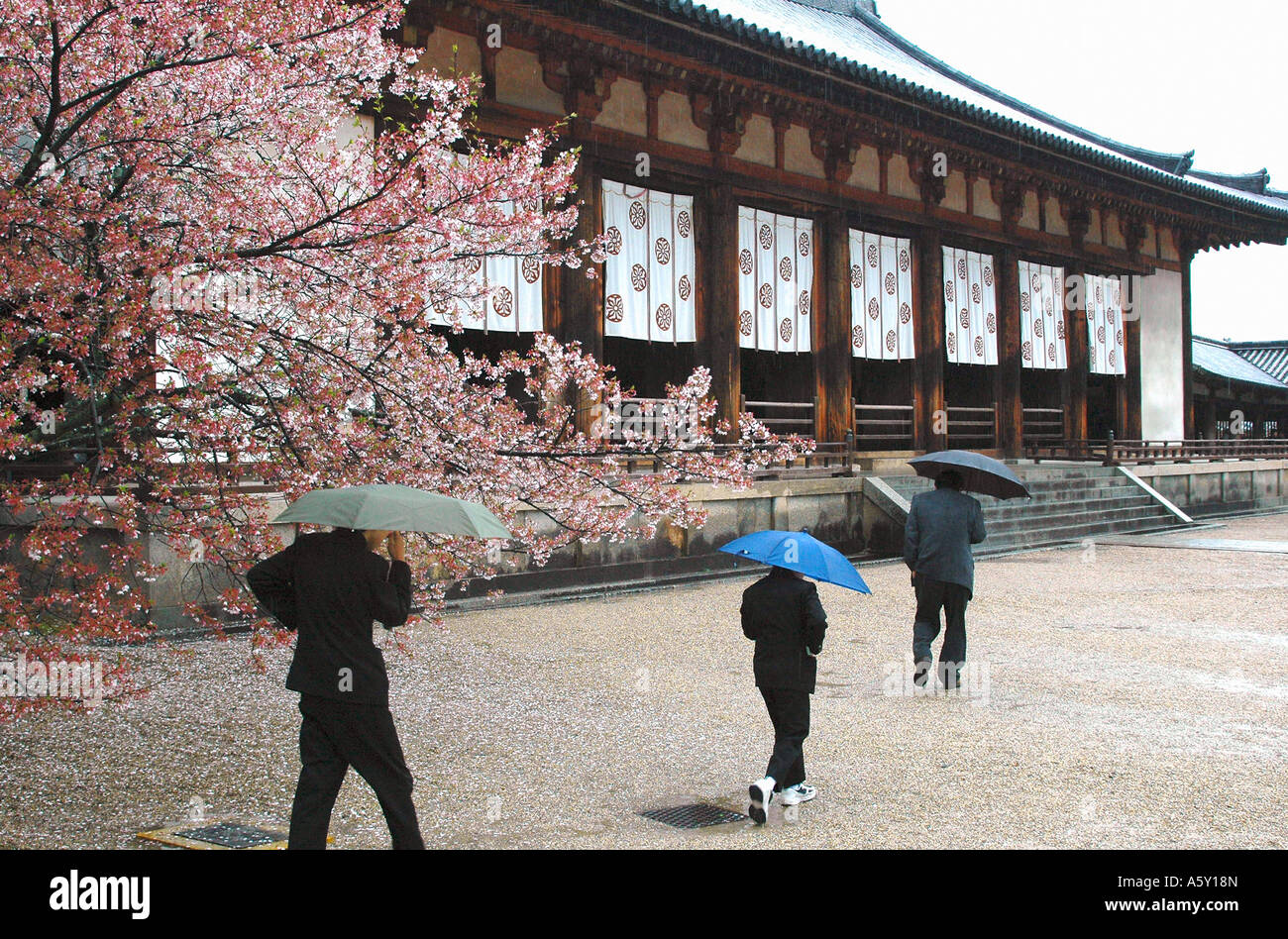 Daikodo hall hi-res stock photography and images - Alamy