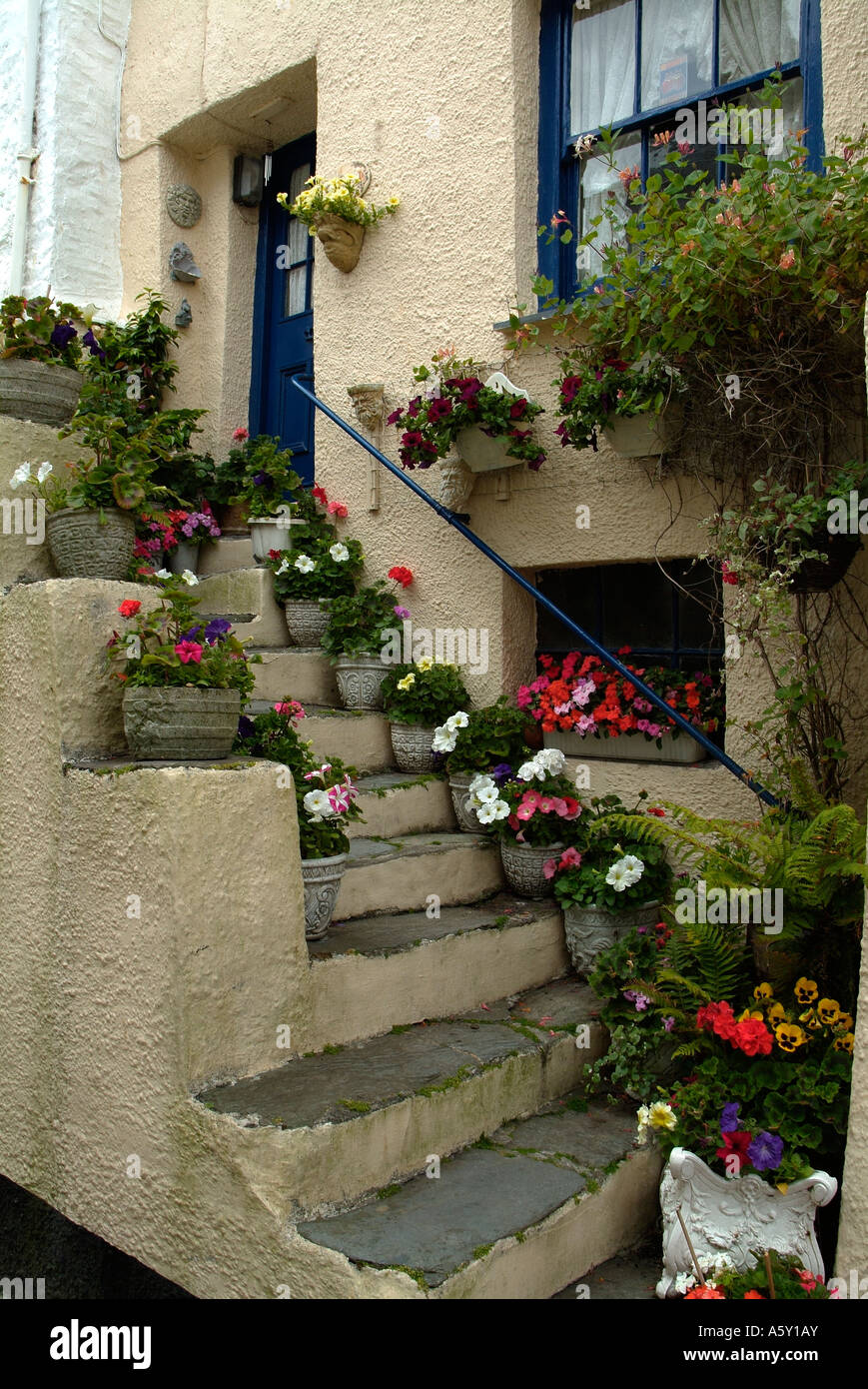 Flowers down the steps Stock Photo - Alamy