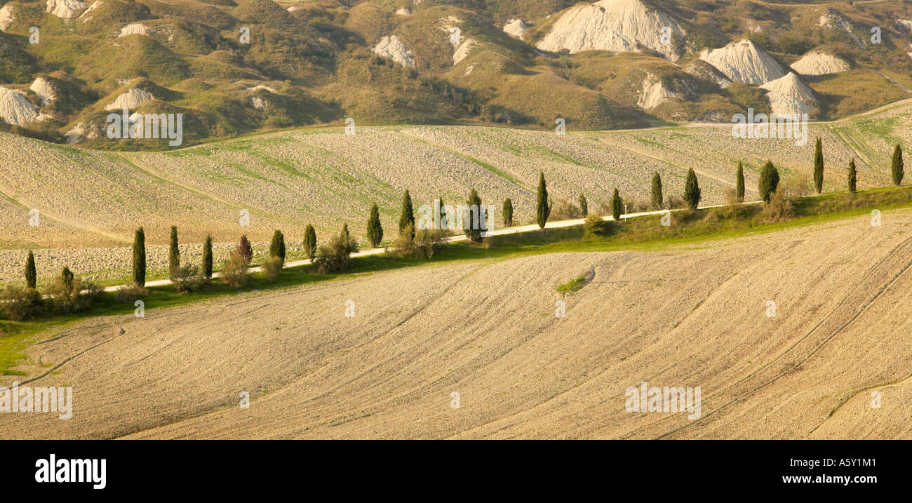 Tuscan country road , Le Crete Stock Photo - Alamy
