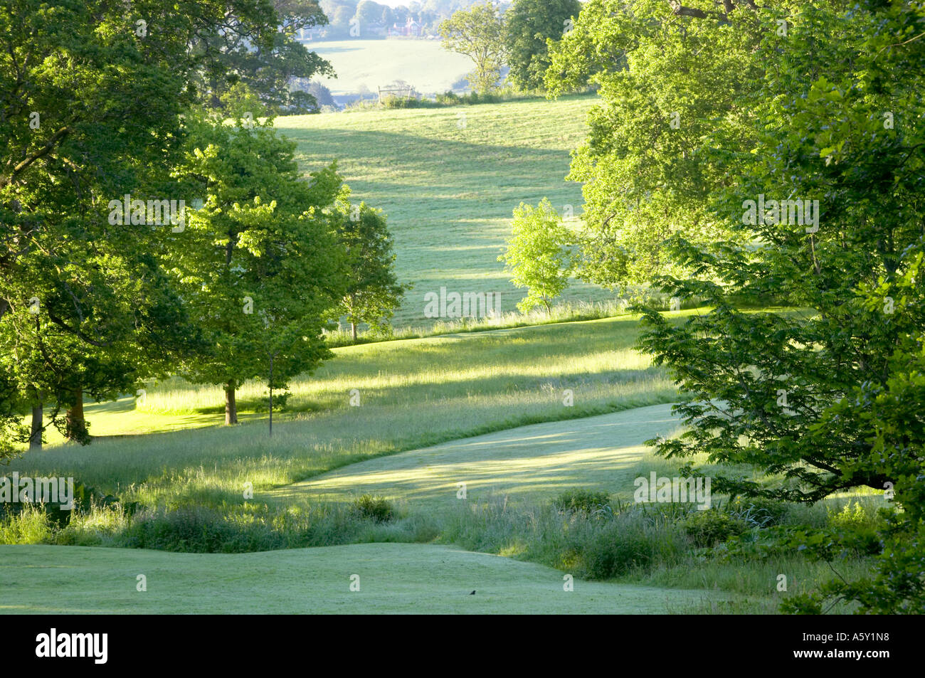 Early summer morning in English country garden Stock Photo - Alamy