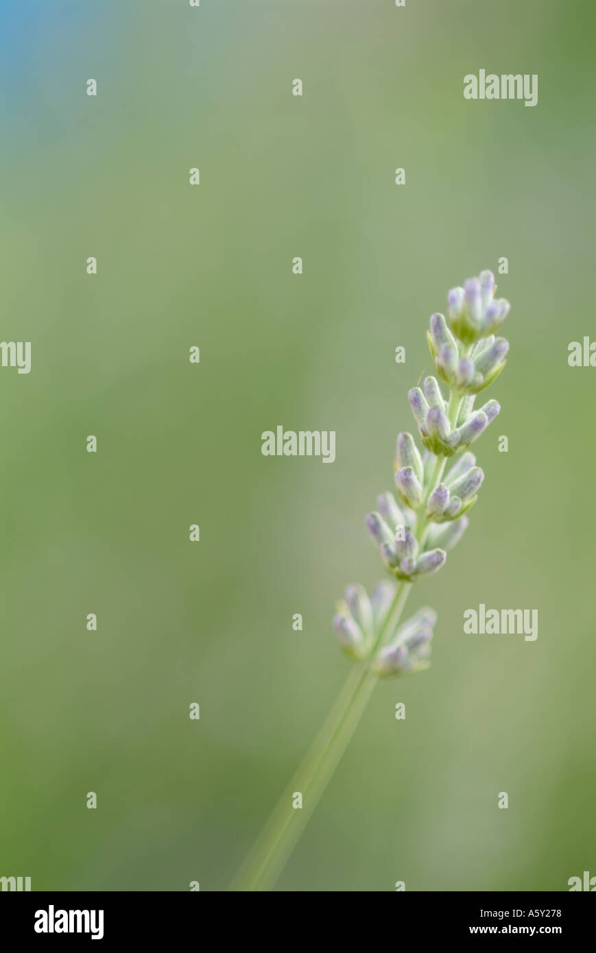 Materialelements hi-res stock photography and images - Alamy