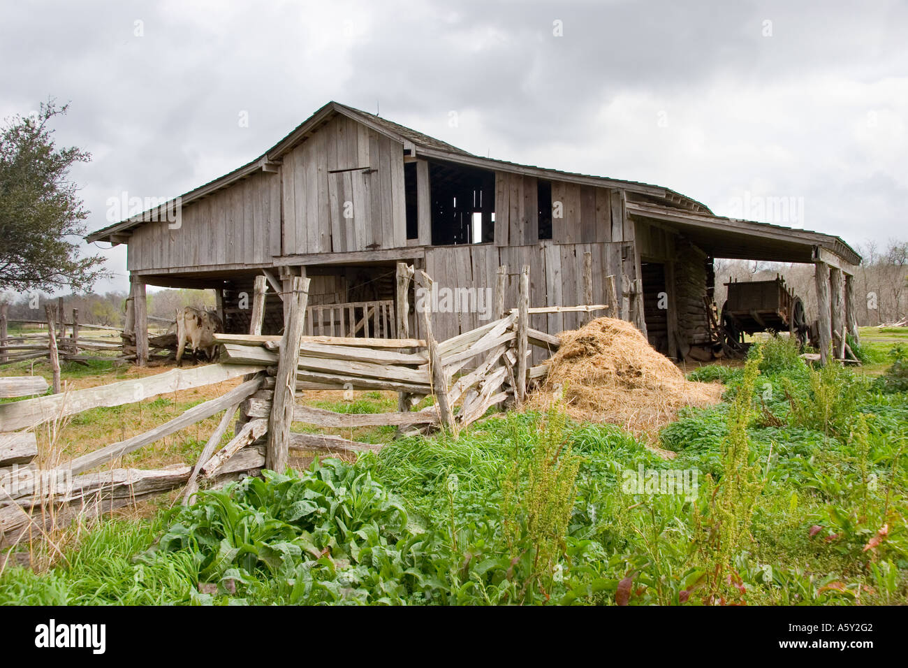 Texas settlers 1800s hi-res stock photography and images - Alamy