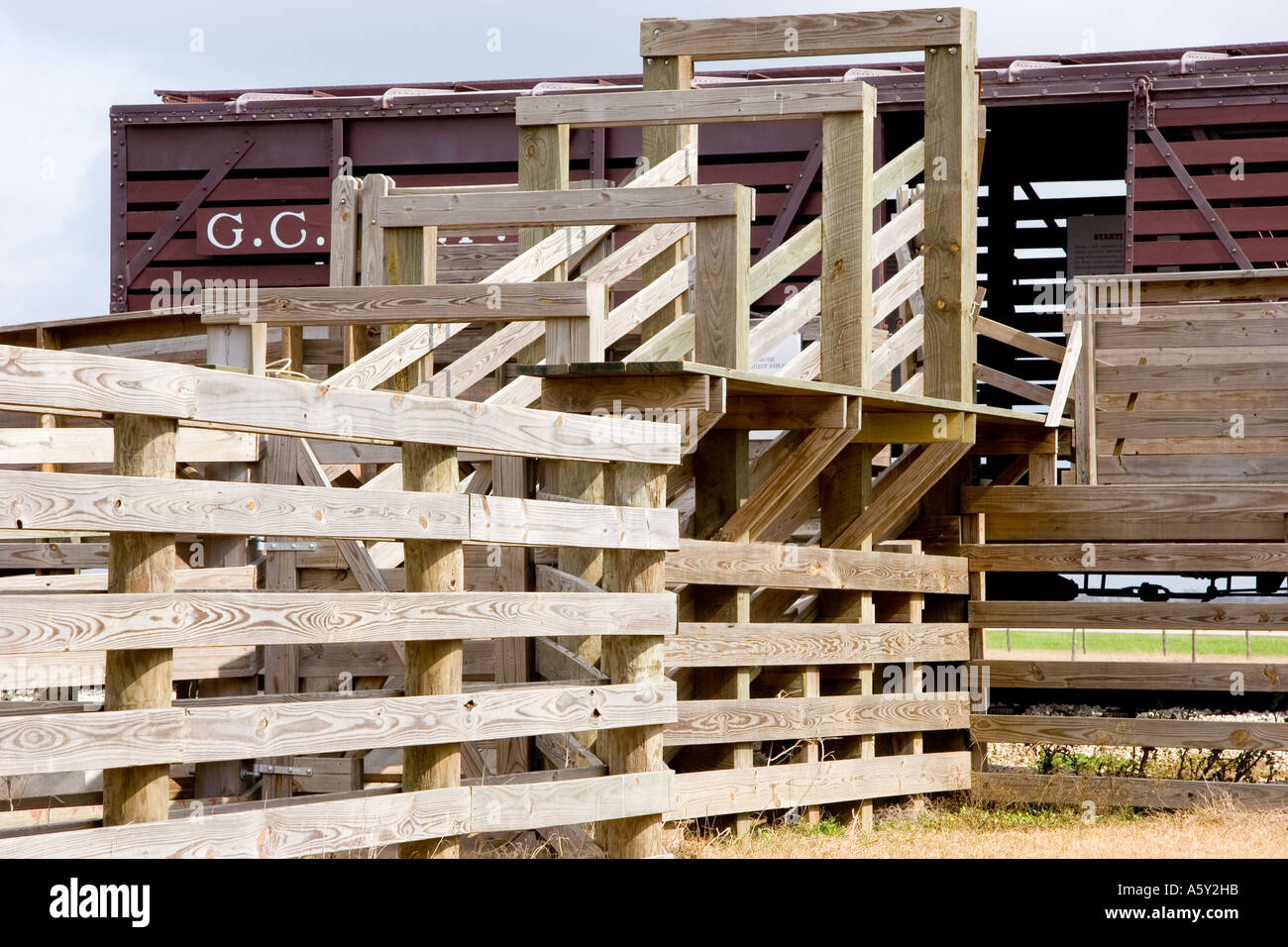 Loading Cattle High Resolution Stock Photography and Images - Alamy