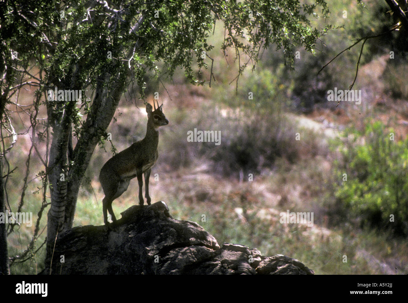 230 m2 park hi-res stock photography and images - Alamy