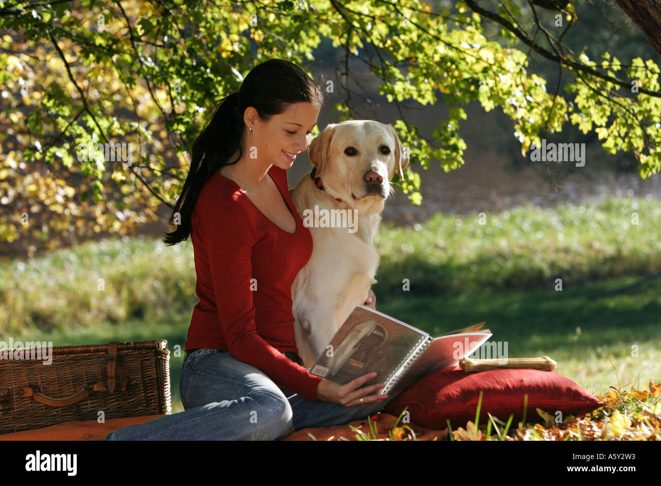 young woman with Labrador Retriever reading a book Stock Photo - Alamy