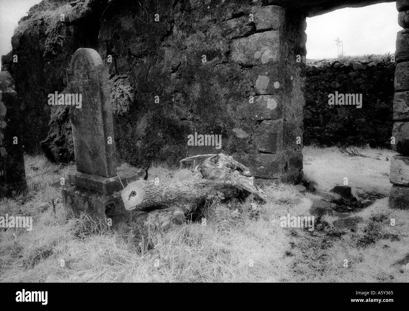 grave graveyard spooky ancient old celtic cross ghost scary halloween ...