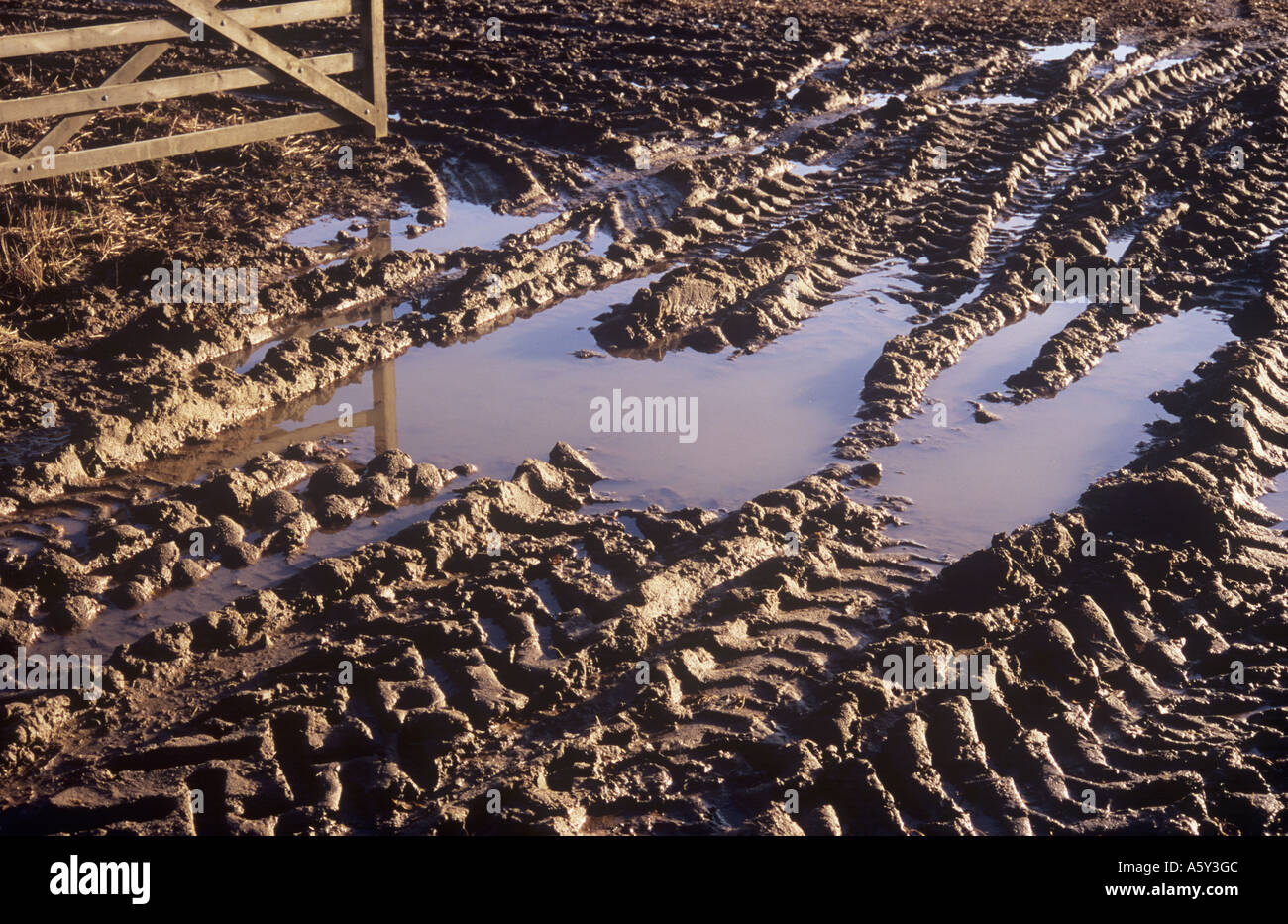 Detail of a field entrance showing part of a farm gate and tractor tyre ...