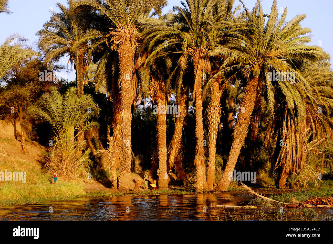 Egypt Nile valley at Luxor Stock Photo - Alamy