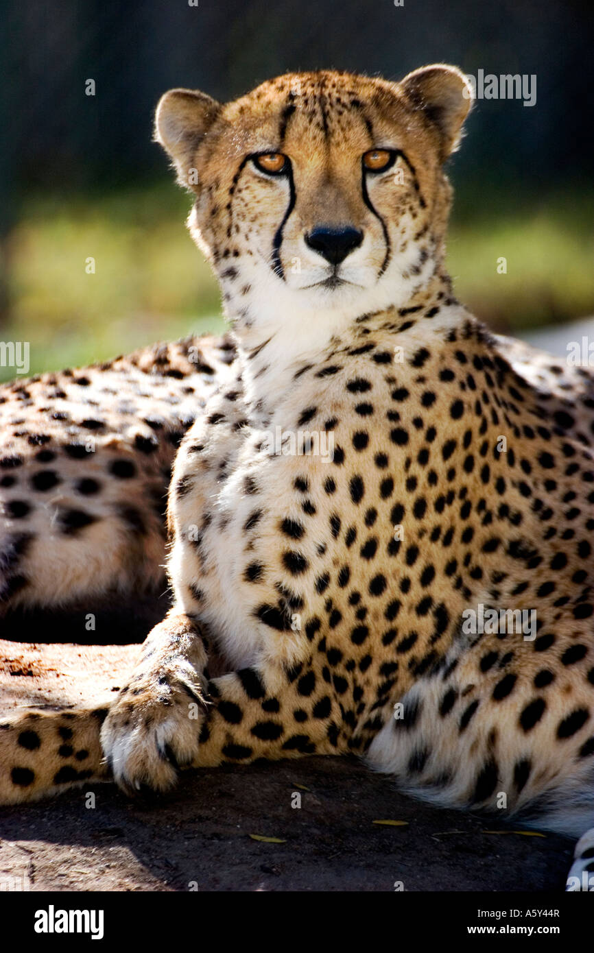 280d hi-res stock photography and images - Alamy