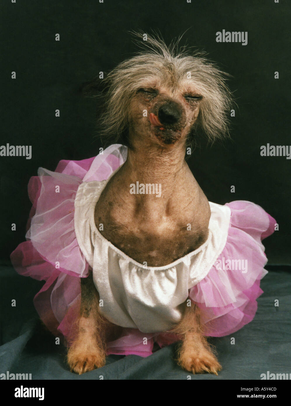 That was Good Stock Photo - Alamy