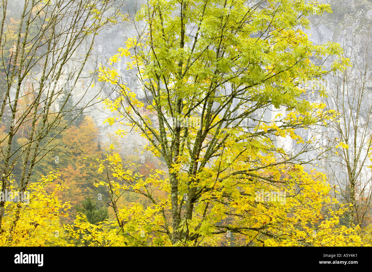 Autumn in the French Alps Stock Photo - Alamy