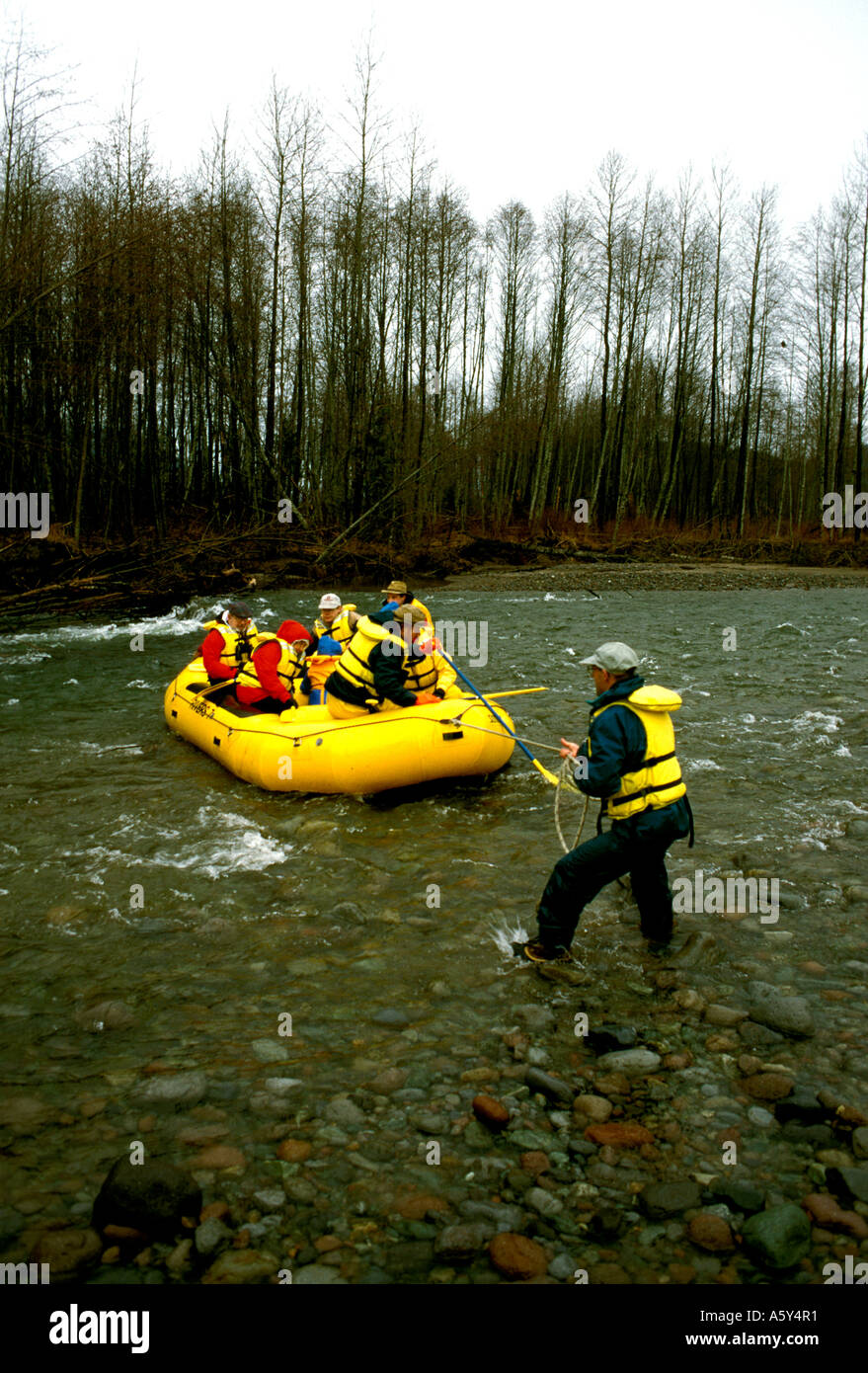 Canada British Columbia Rafting through bald eagles at Brackendale ...