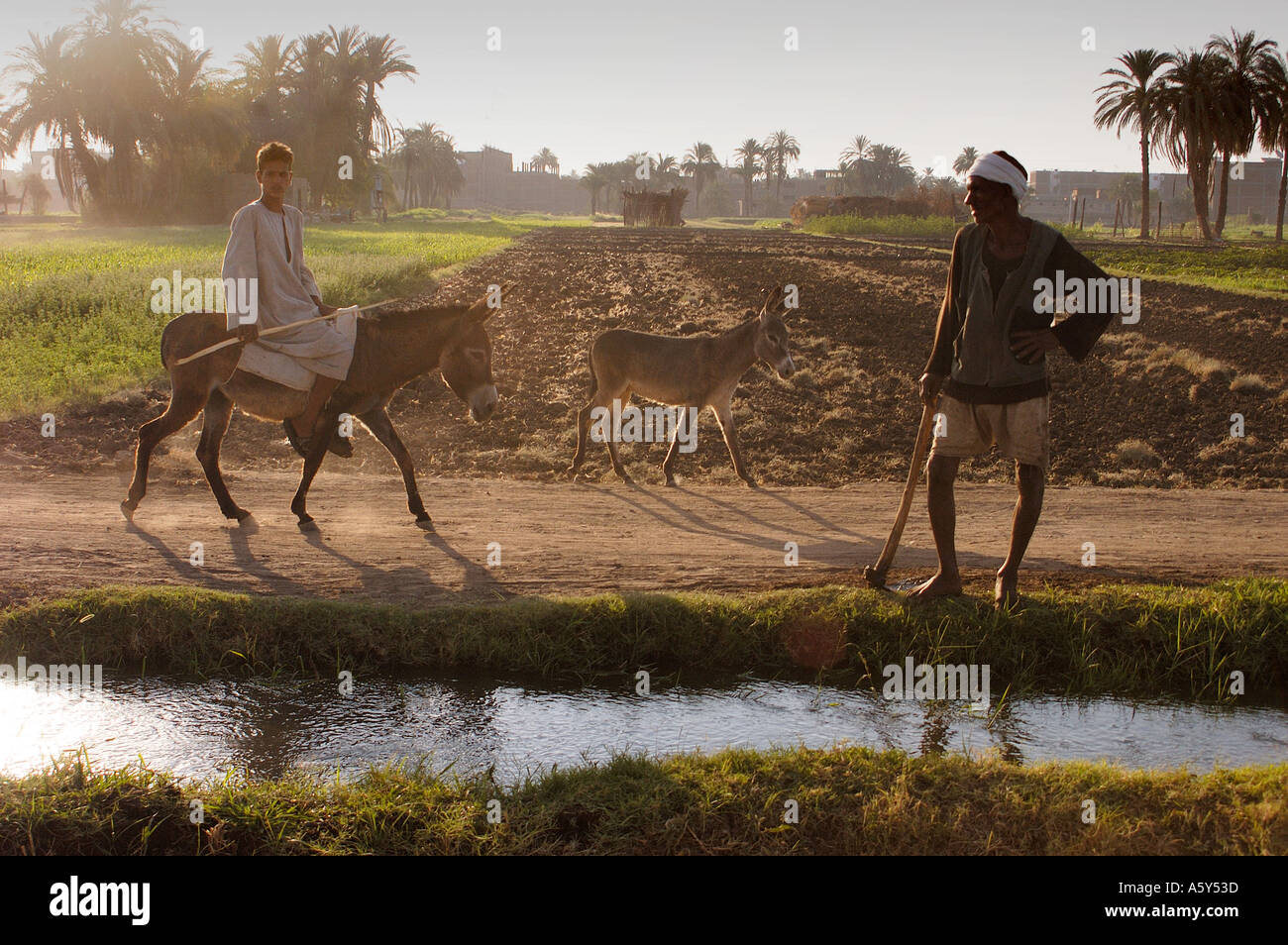Egypt Nile valley at Gurna Luxor west bank Stock Photo - Alamy