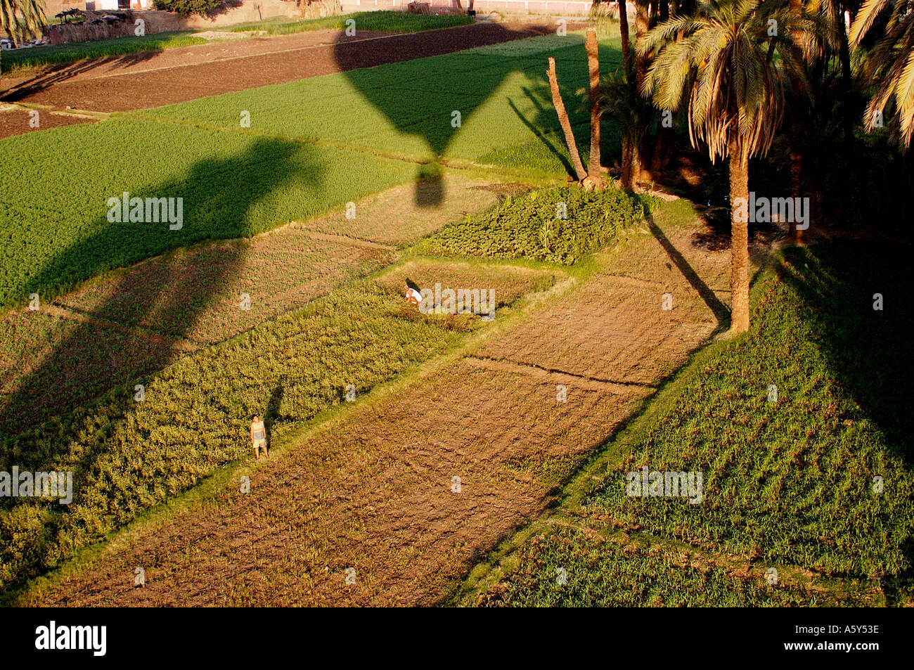 Egypt Nile valley at Gurna Luxor west bank Stock Photo - Alamy