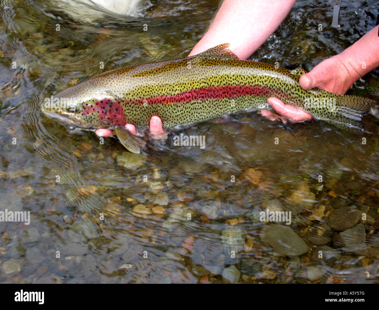 PF-374D NICE 21 INCH RAINBOW Stock Photo - Alamy