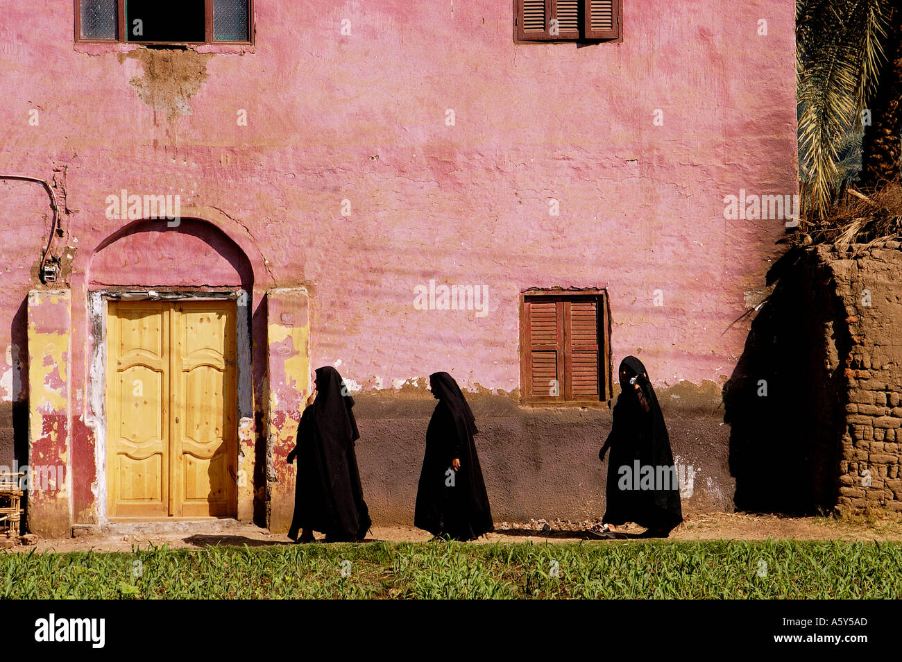 Egypt Nile valley at Gurna on the Luxor west bank Stock Photo - Alamy