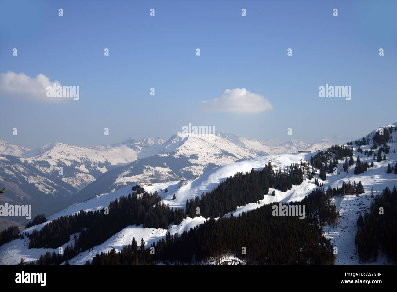 Tyrolean Spruce High Resolution Stock Photography and Images - Alamy