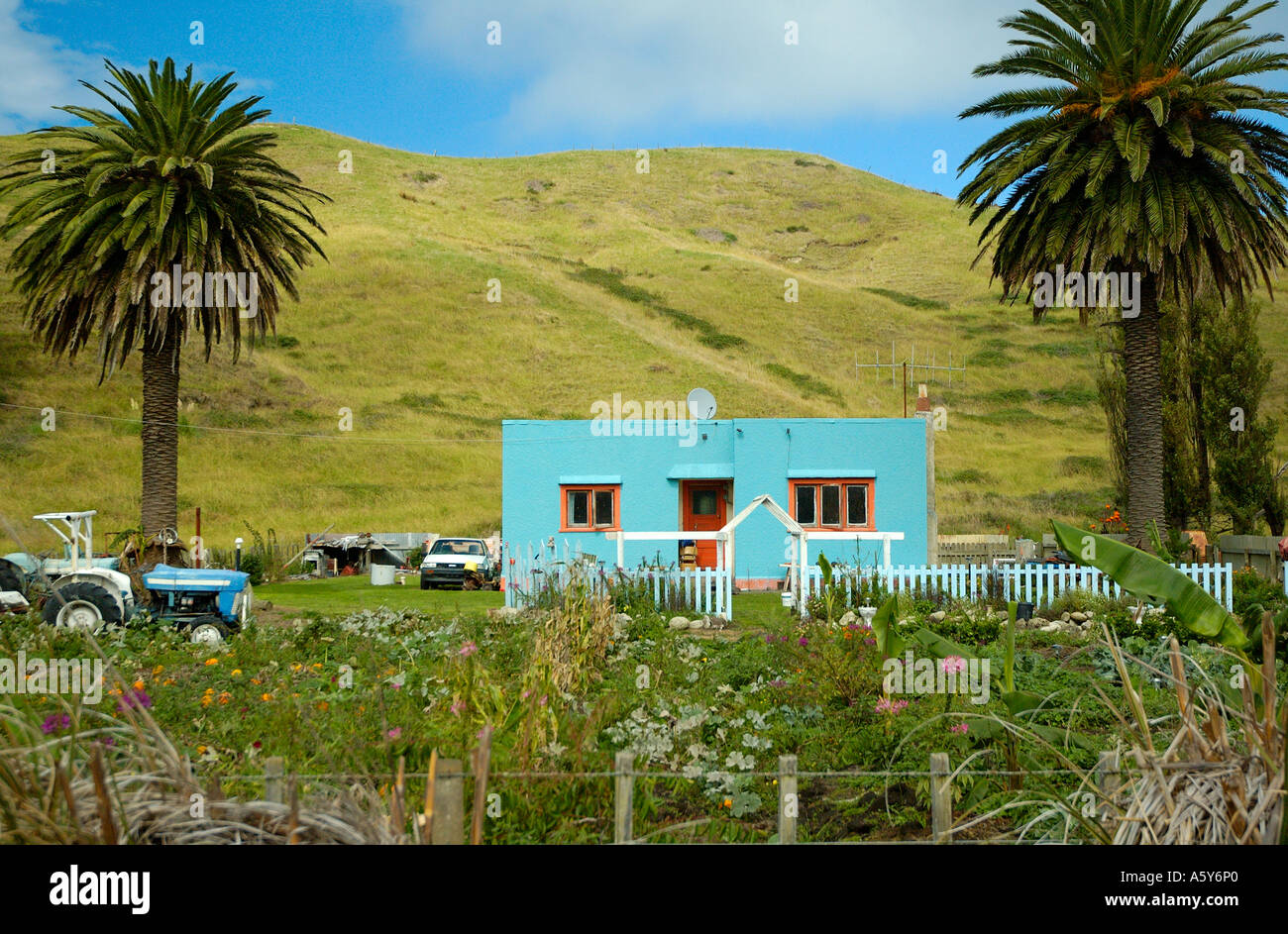 New Zealand rural house scene Stock Photo - Alamy