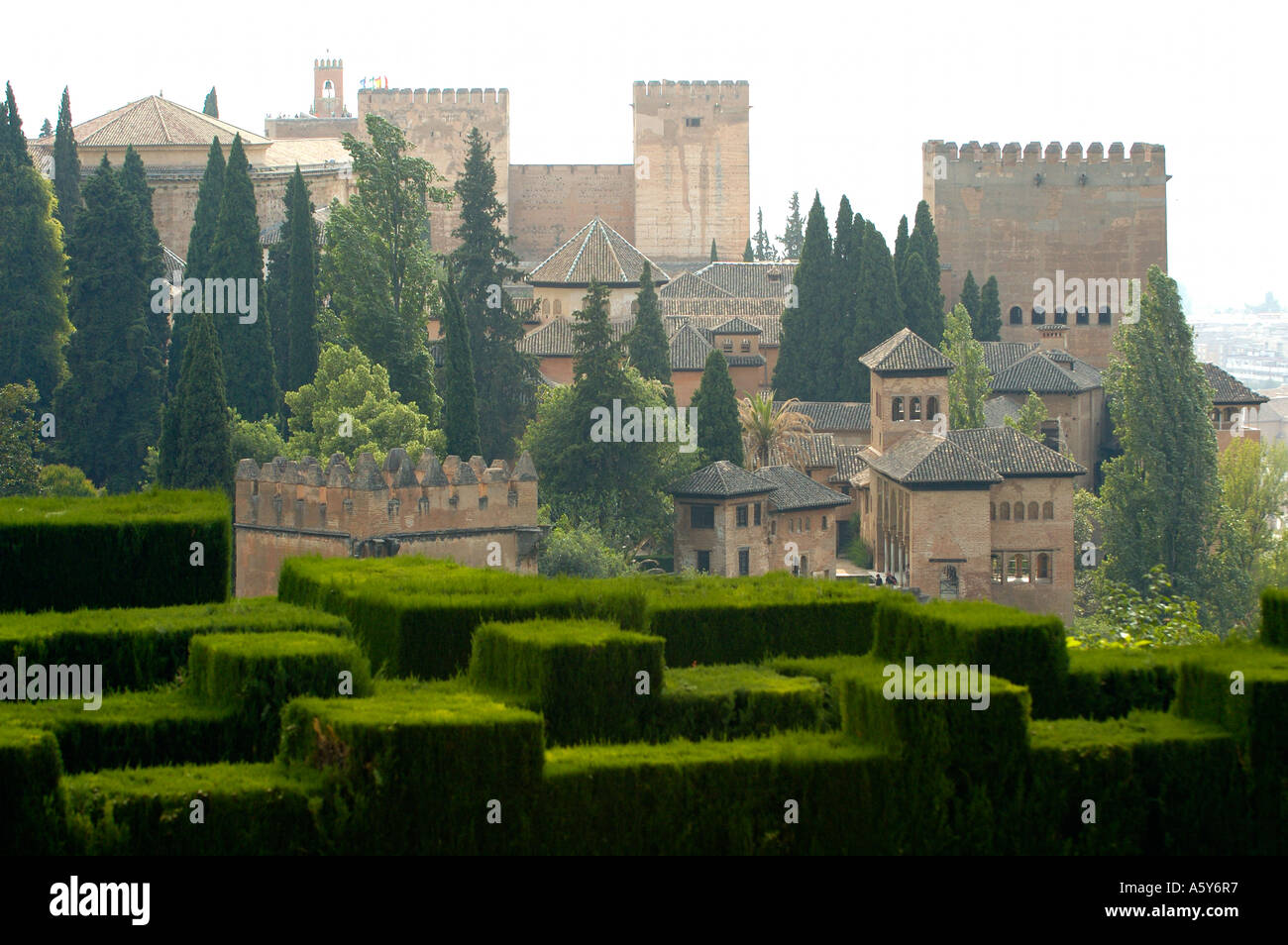 Alhambra garden roses hi-res stock photography and images - Alamy