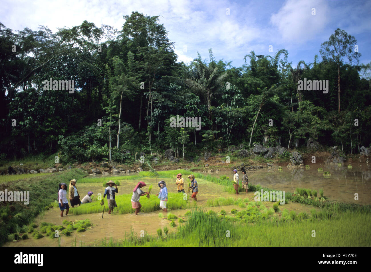 Trawomen hi-res stock photography and images - Alamy