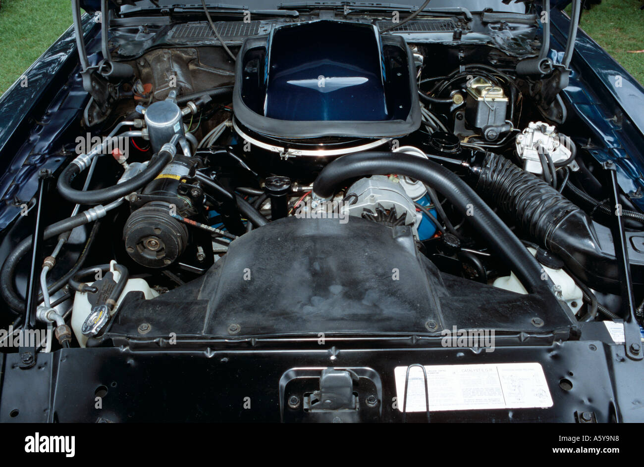 Pontiac Firebird Trans Am.. 6 point 6 of 1979 forward slash 80 Stock ...