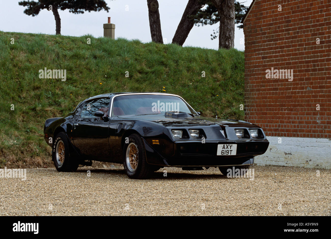 Pontiac Firebird Trans Am TA 6 point 6 of 1978 forward slash 79 Stock ...