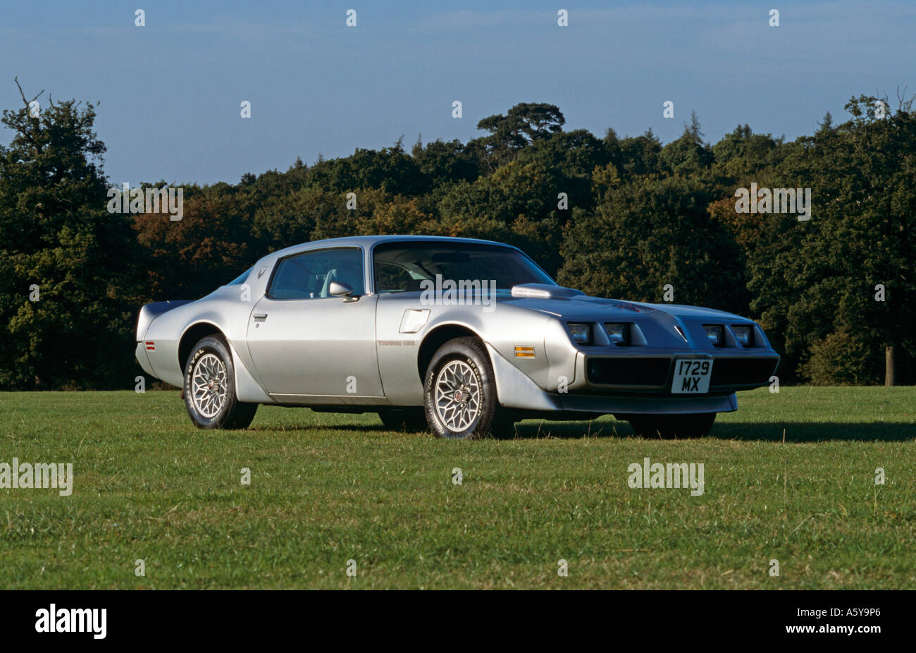 Pontiac Firebird Trans Am TA 6 point 6 Stock Photo - Alamy