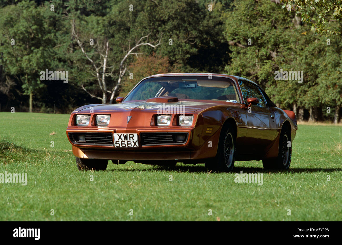 Pontiac Firebird Trans Am of 1981 forward slash 82 Stock Photo - Alamy