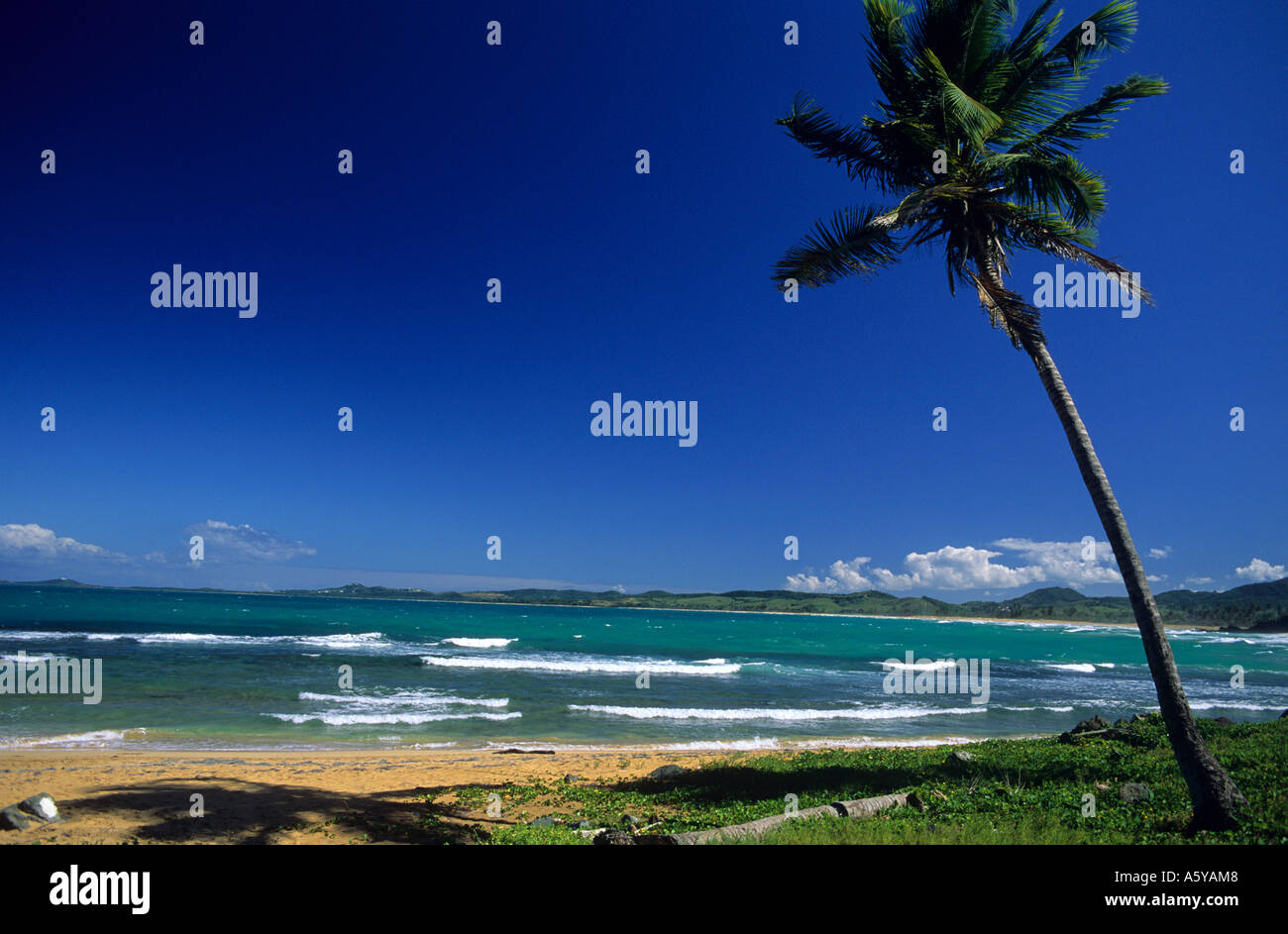 Beach scene in Puerto Rico Stock Photo - Alamy