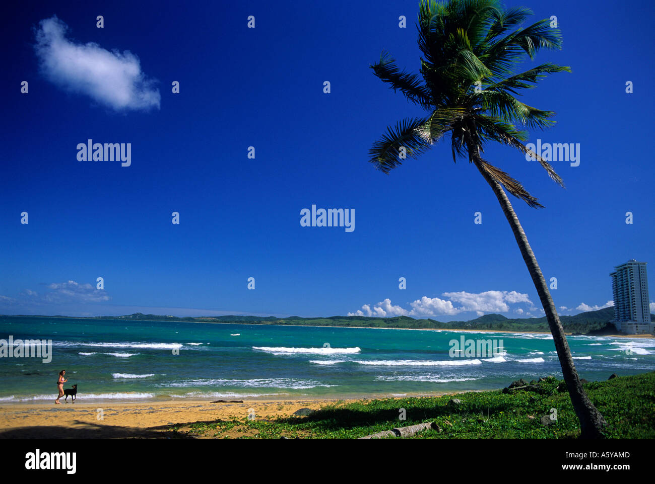 Beach scene in Puerto Rico Stock Photo - Alamy
