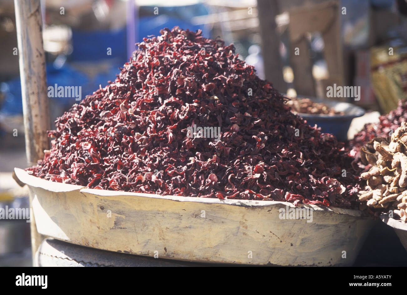 Dried Hibiscus flower, Sudan Stock Photo - Alamy