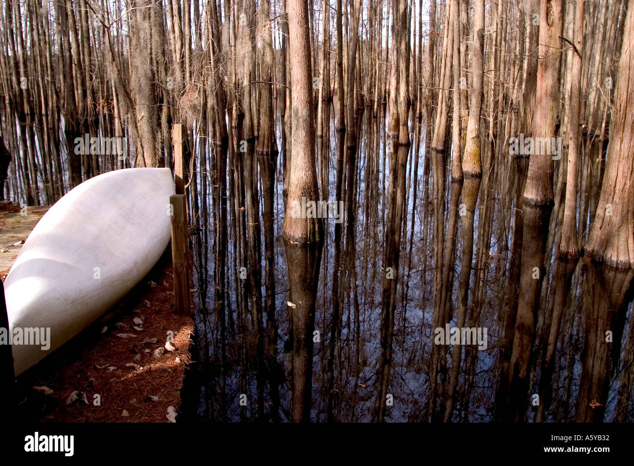 Canoe on dock swamp land Statesboro Georgia Stock Photo - Alamy